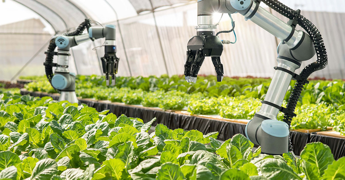 Streamline Sustainability Compliance with ESG Automation | GEP