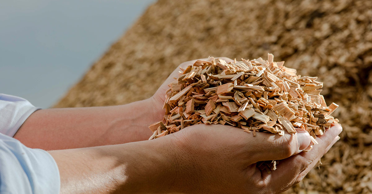 Waste to Energy from Thermochemical Processing Amid Rising Biofuel ...