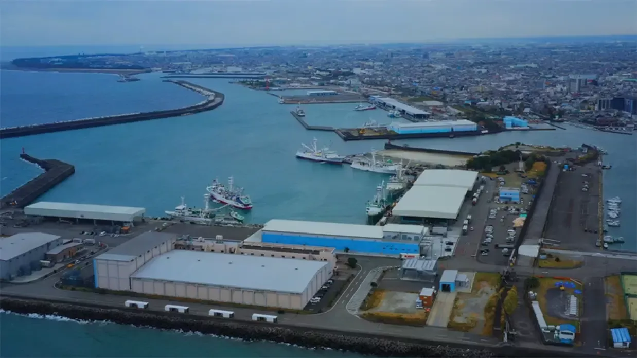 Cost of Goods Sold (COGS) Transformation: Holistic Approach for ...